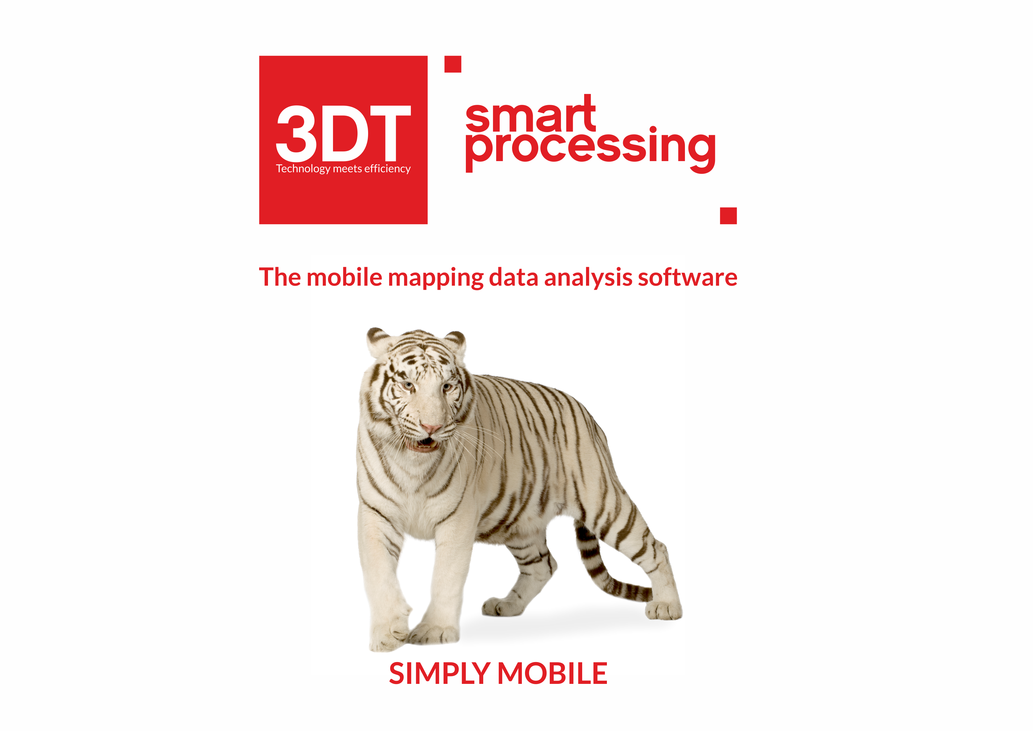 Software Development : 3DT-Smart Processing